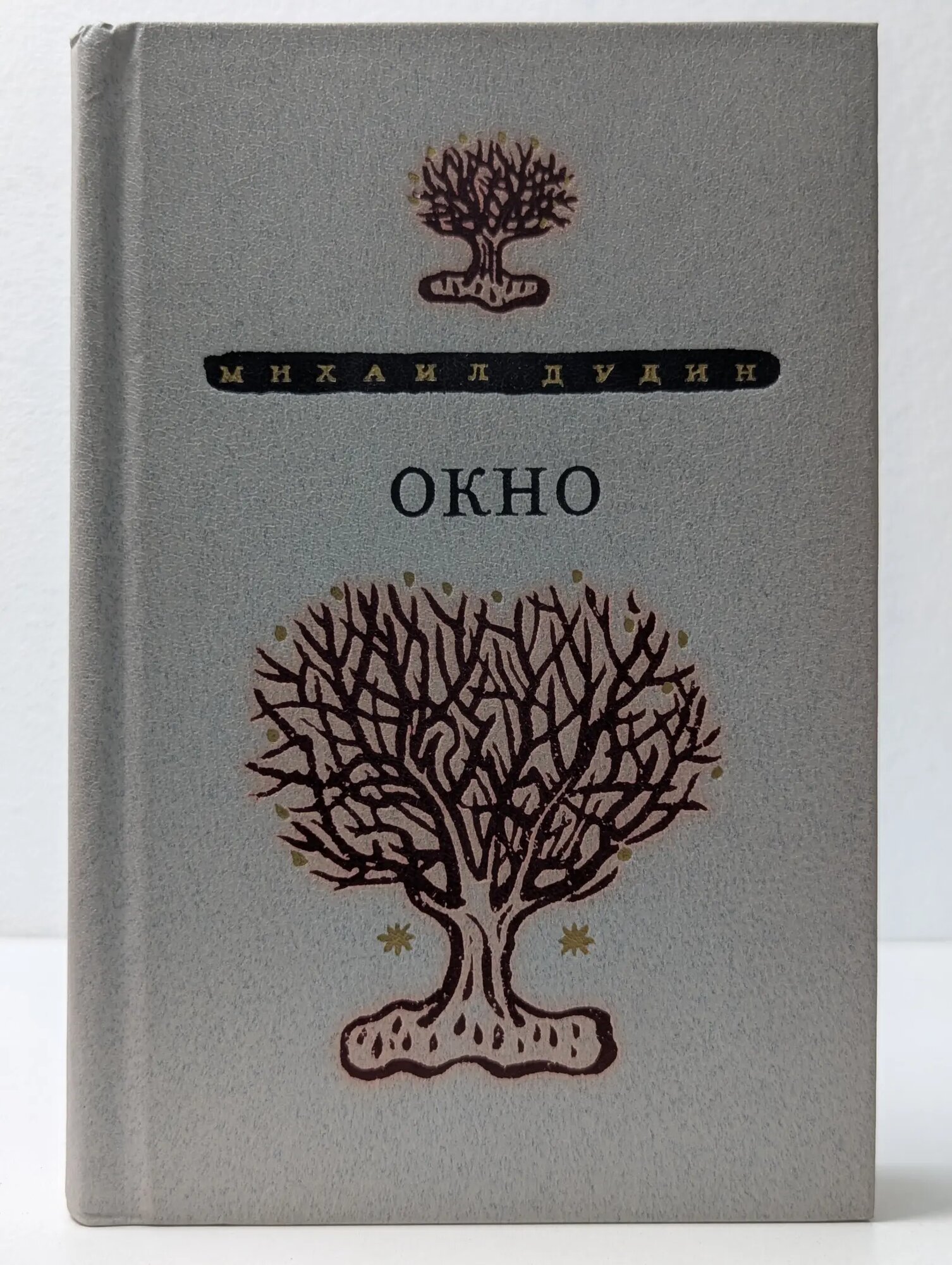 Окно Дудин Михаил Александрович 1981