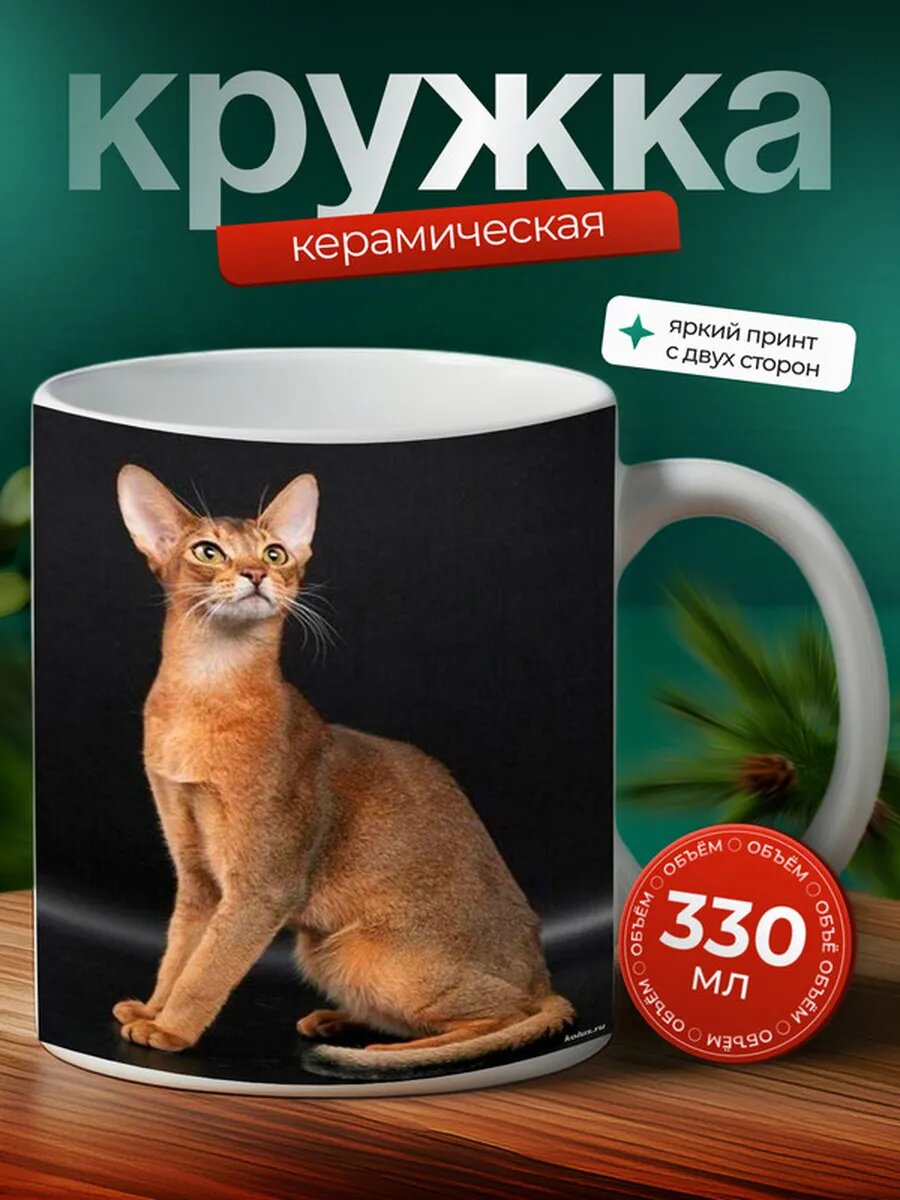 Кружка Иорданский набатей кот 7,