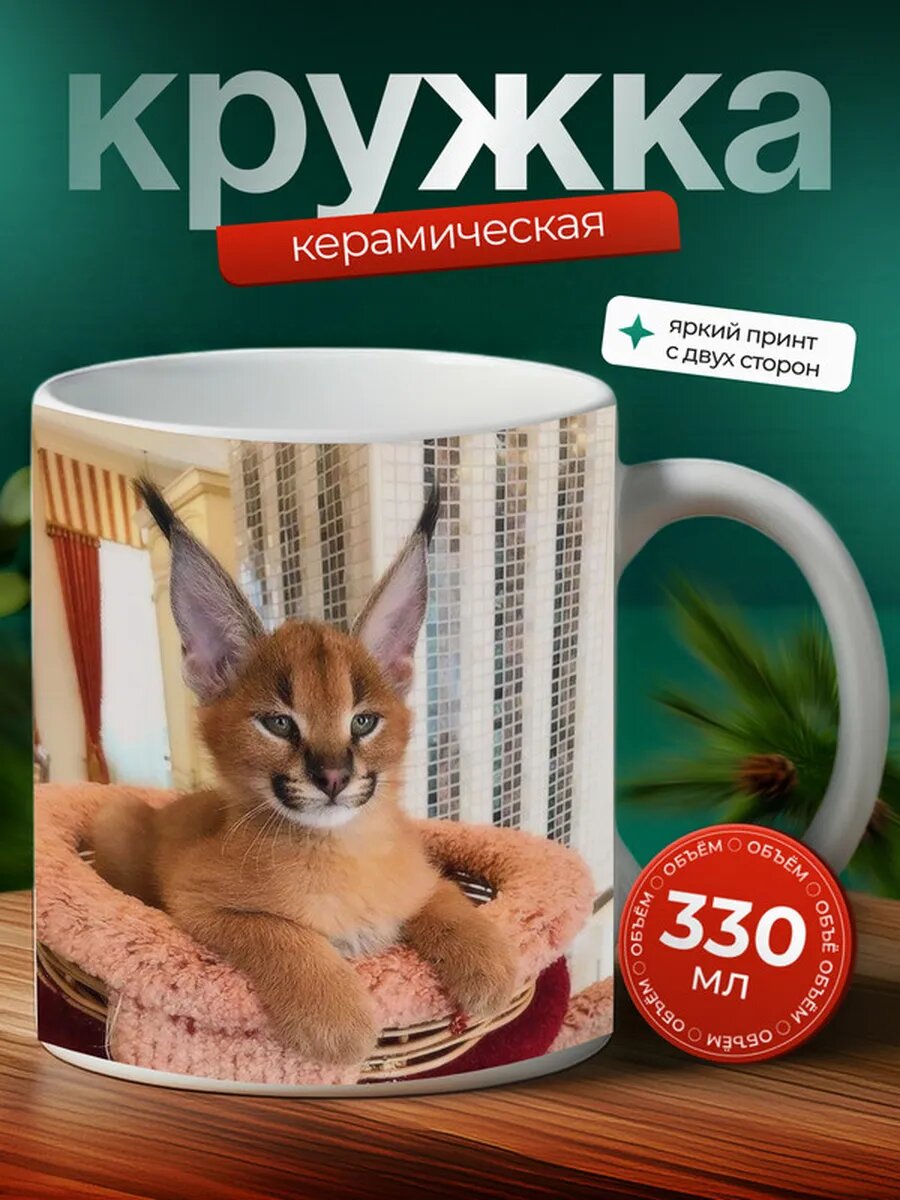 Кружка Маврикийский коралл кот 18,