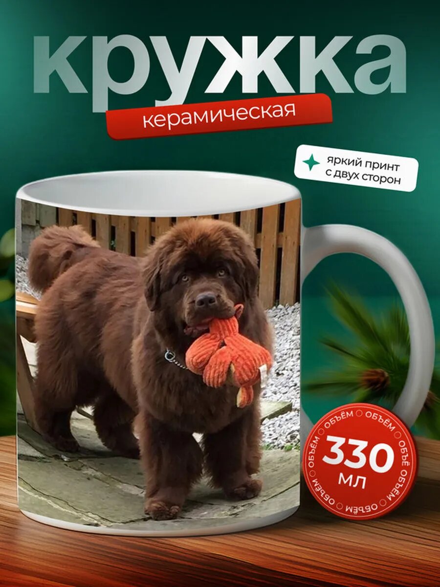 Кружка Ньюфаундленд 33,