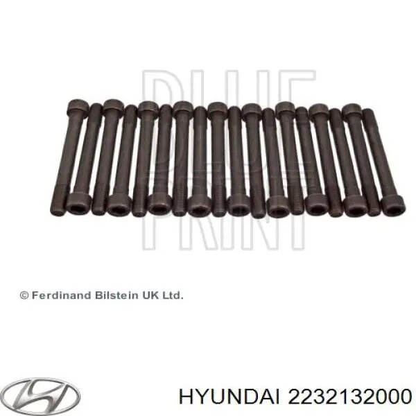 Болт HYUNDAI H-100 головки блока TYB