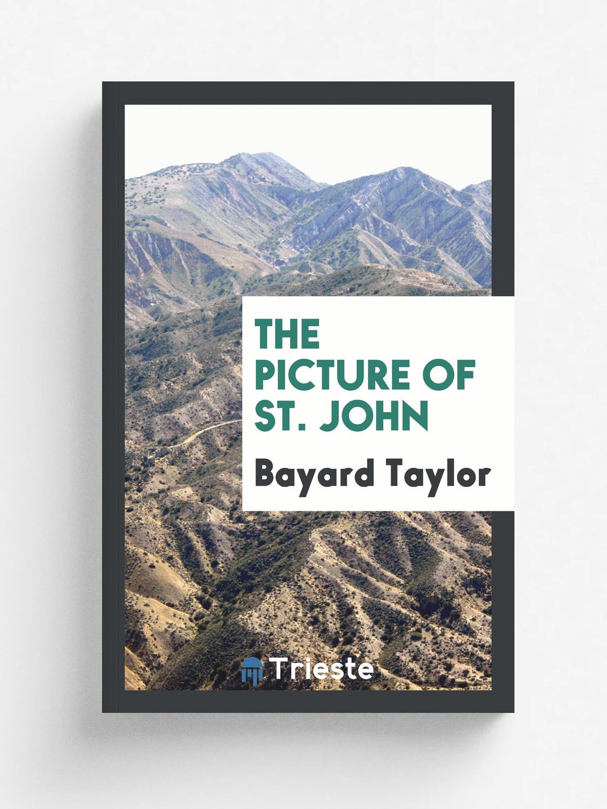The Picture of St. John