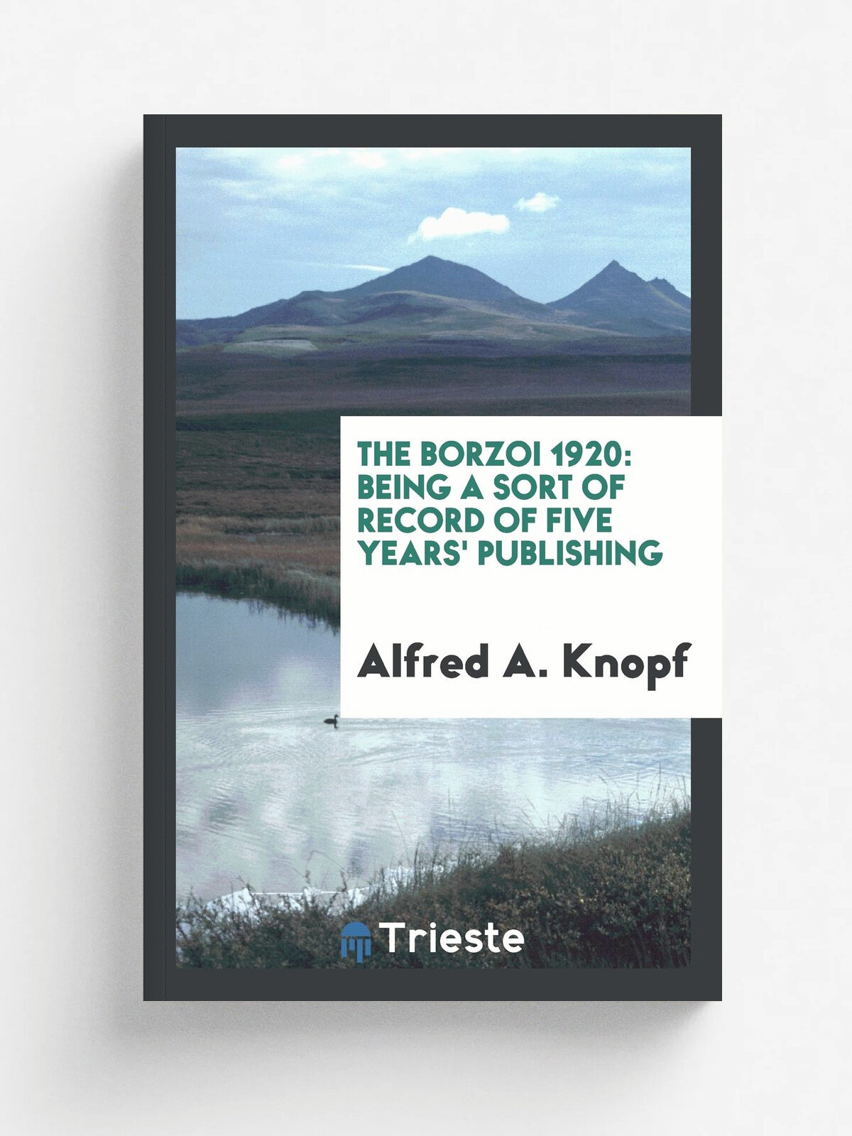 The Borzoi 1920. Being a Sort of Record of Five Years' Publishing