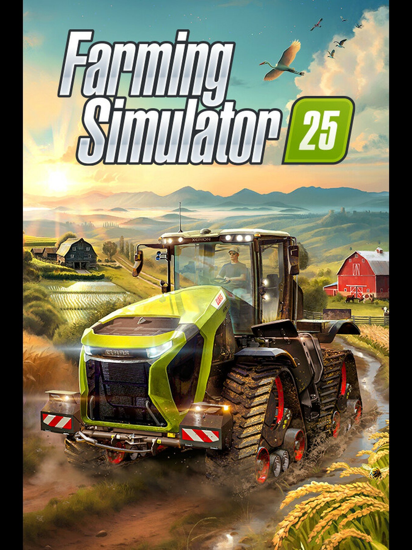 Farming Simulator 25 Россия
