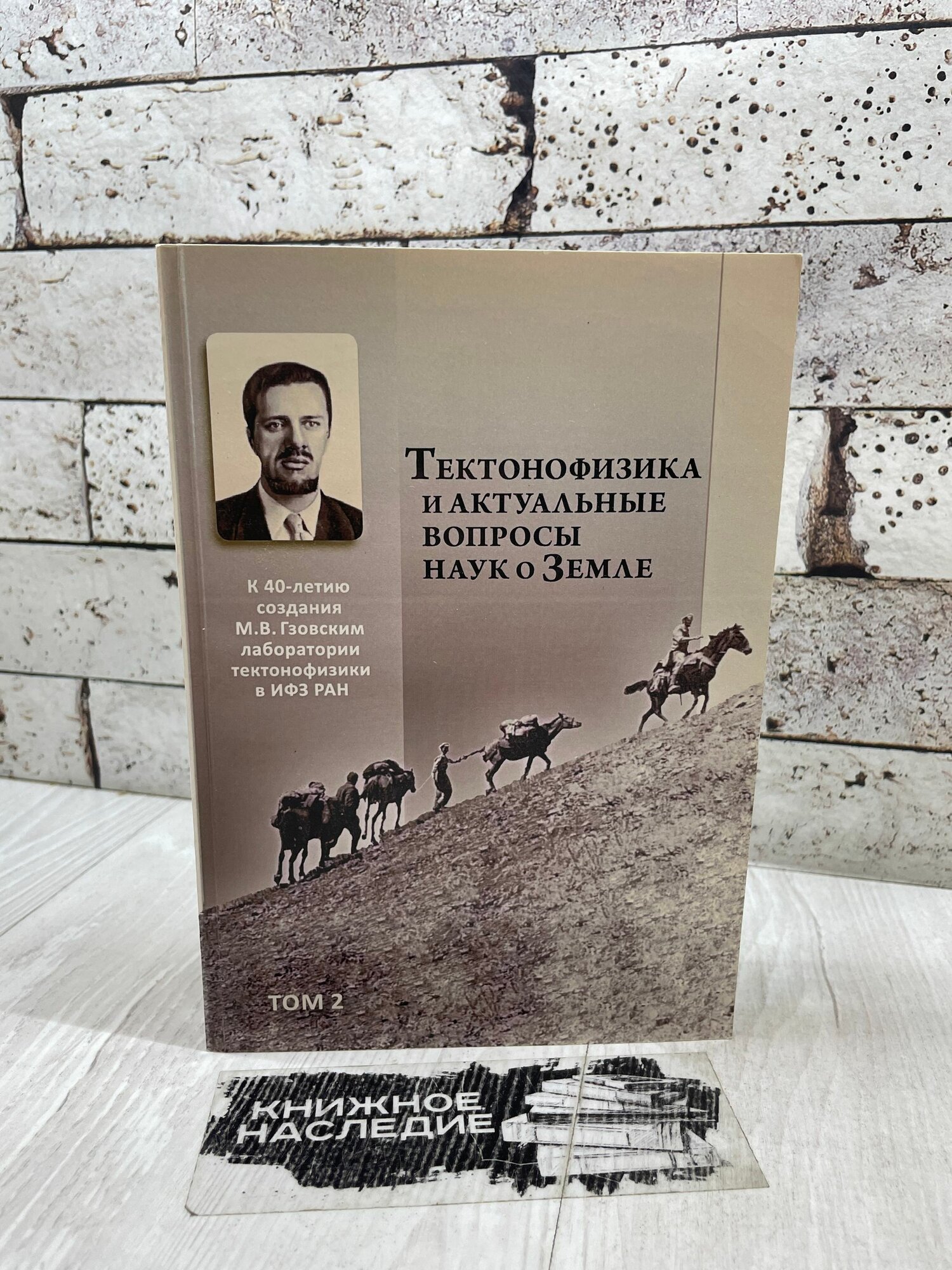 Тектонофизика и актуальные вопросы наук о земле. Том 2. РАН 2008 г