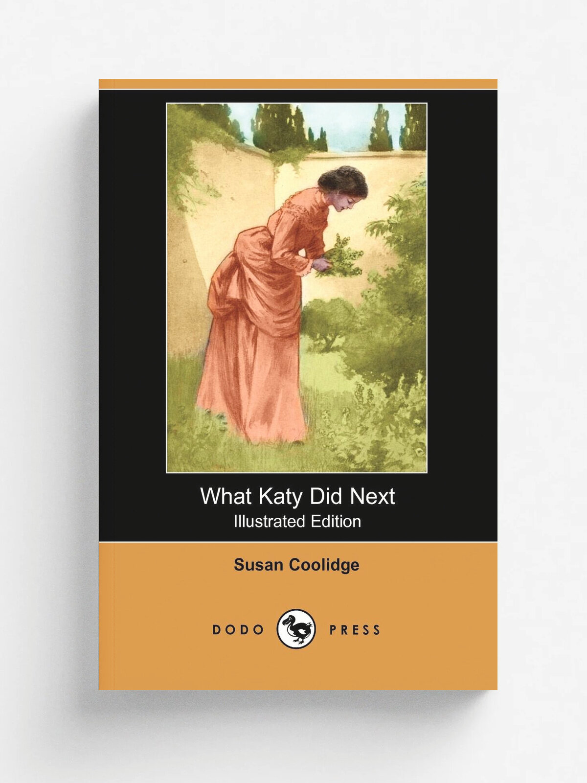 What Katy Did Next
