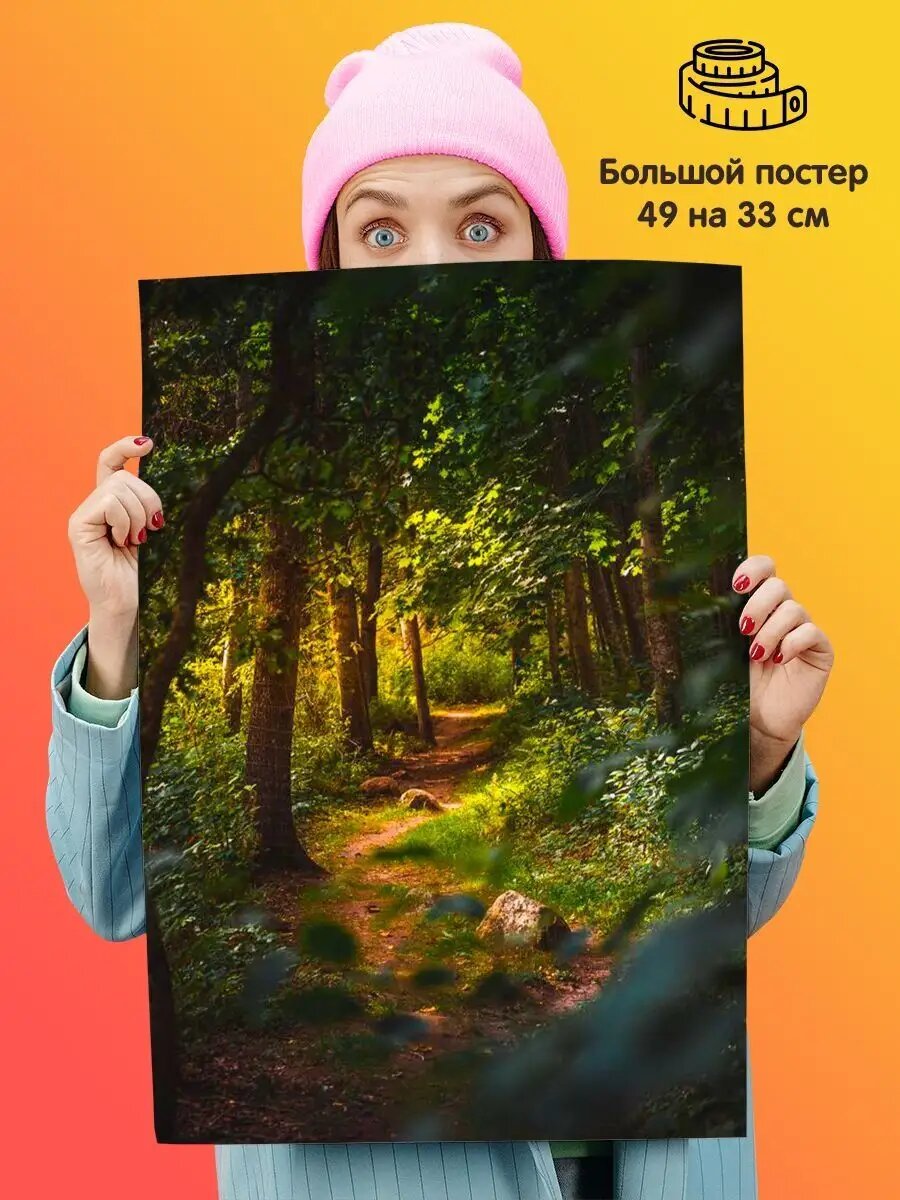 Постер Лес Forest