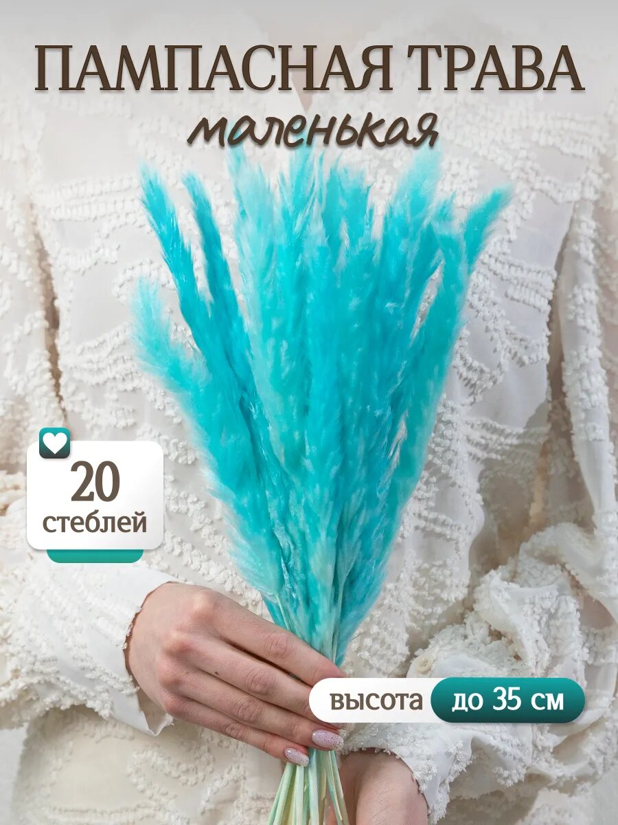 Пампасная трава мини 20 шт сухоцветы для декора