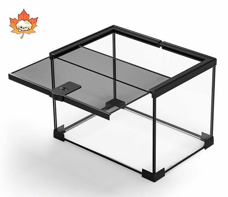 Надёжный стеклянный террариум 20x20x15 см: Безопасный дом для древесных лягушек, пауков, хамелеонов и змей! Купить