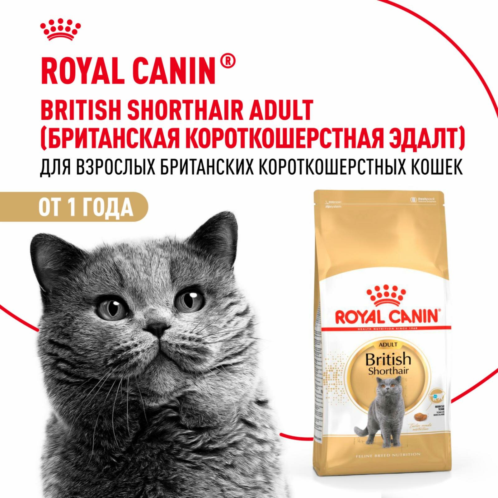 Корм сухой сбалансированный для взрослых британских короткошерстных кошек, British Shorthair Adult