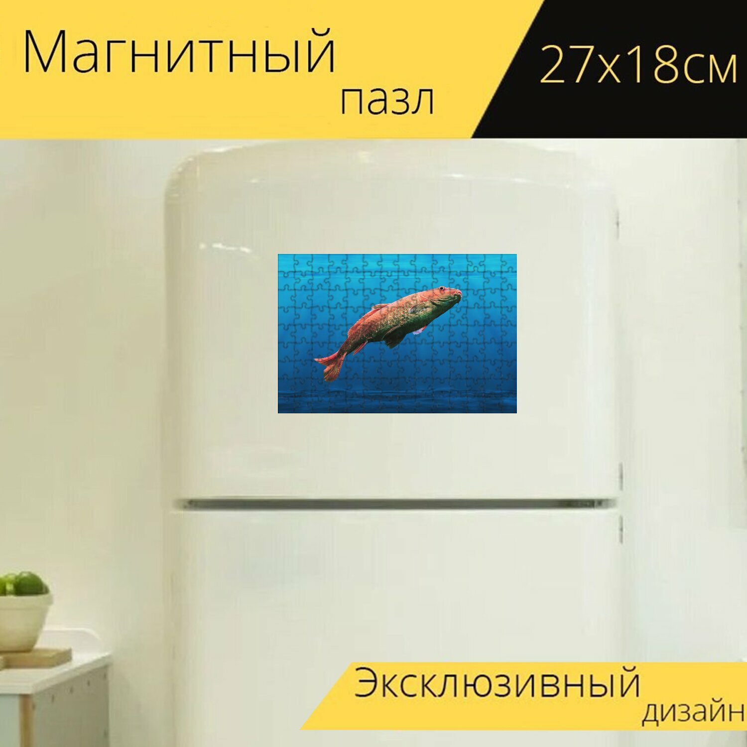 Магнитный пазл "Кои Карп Рыба Вода Фоновые обои Кои Карп Кои Карп Рыба Вода Обои Фотомонтаж карп кои кои карп золото оранжевый рыба проплывает подводный." на холодильник 27 x 18 см.