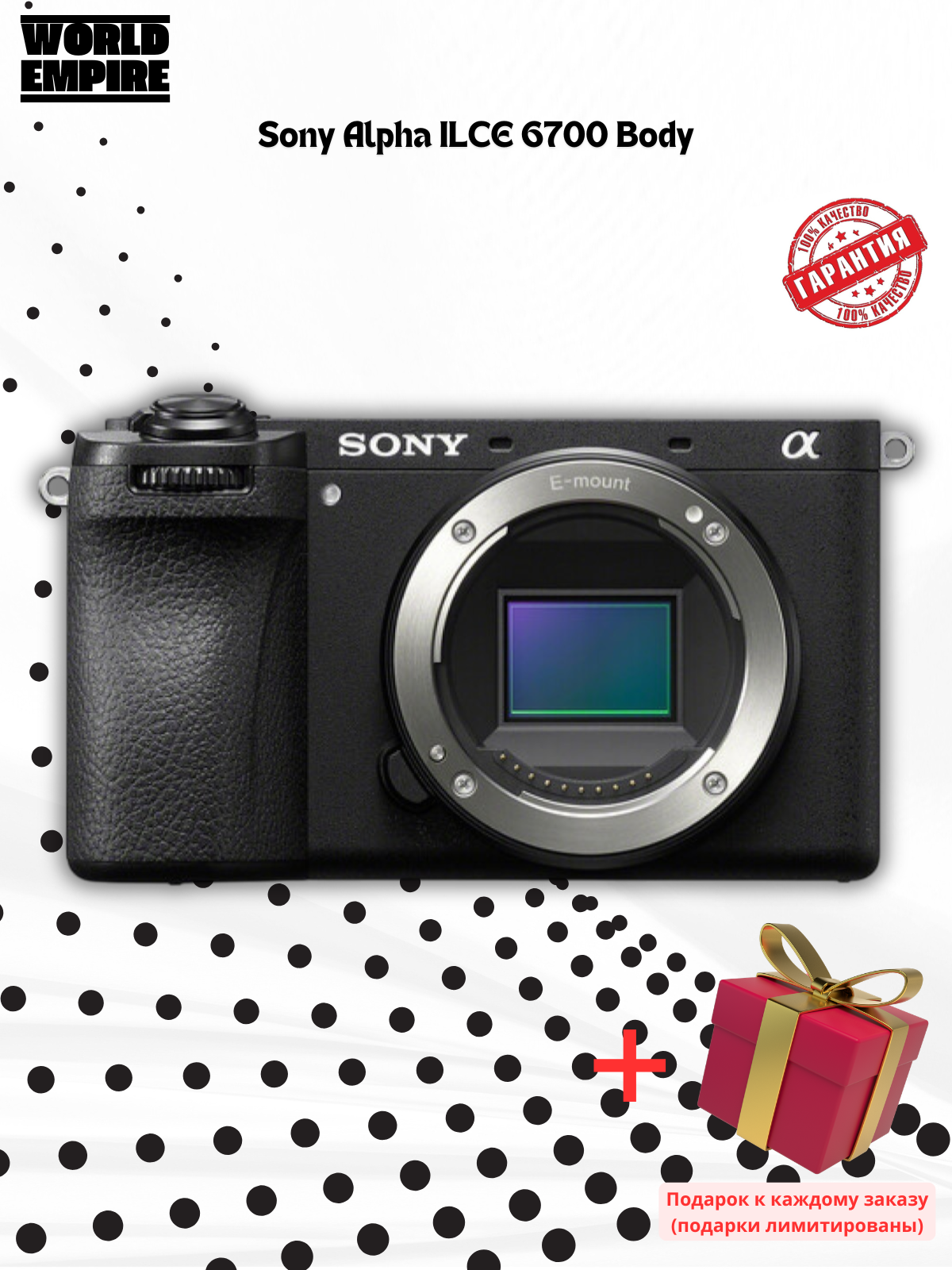 Фотоаппарат SONY ALPHA ILCE 6700 BODY