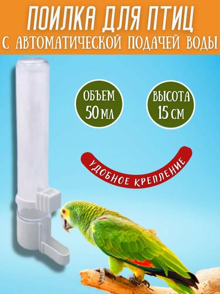 Поилка (автопоилка) для птиц и попугаев