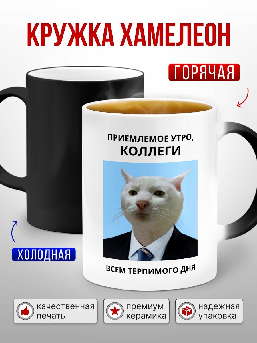 Кружка хамелеон мем "Приемлемое утро, коллеги" кот, 330 мл, 1 шт.