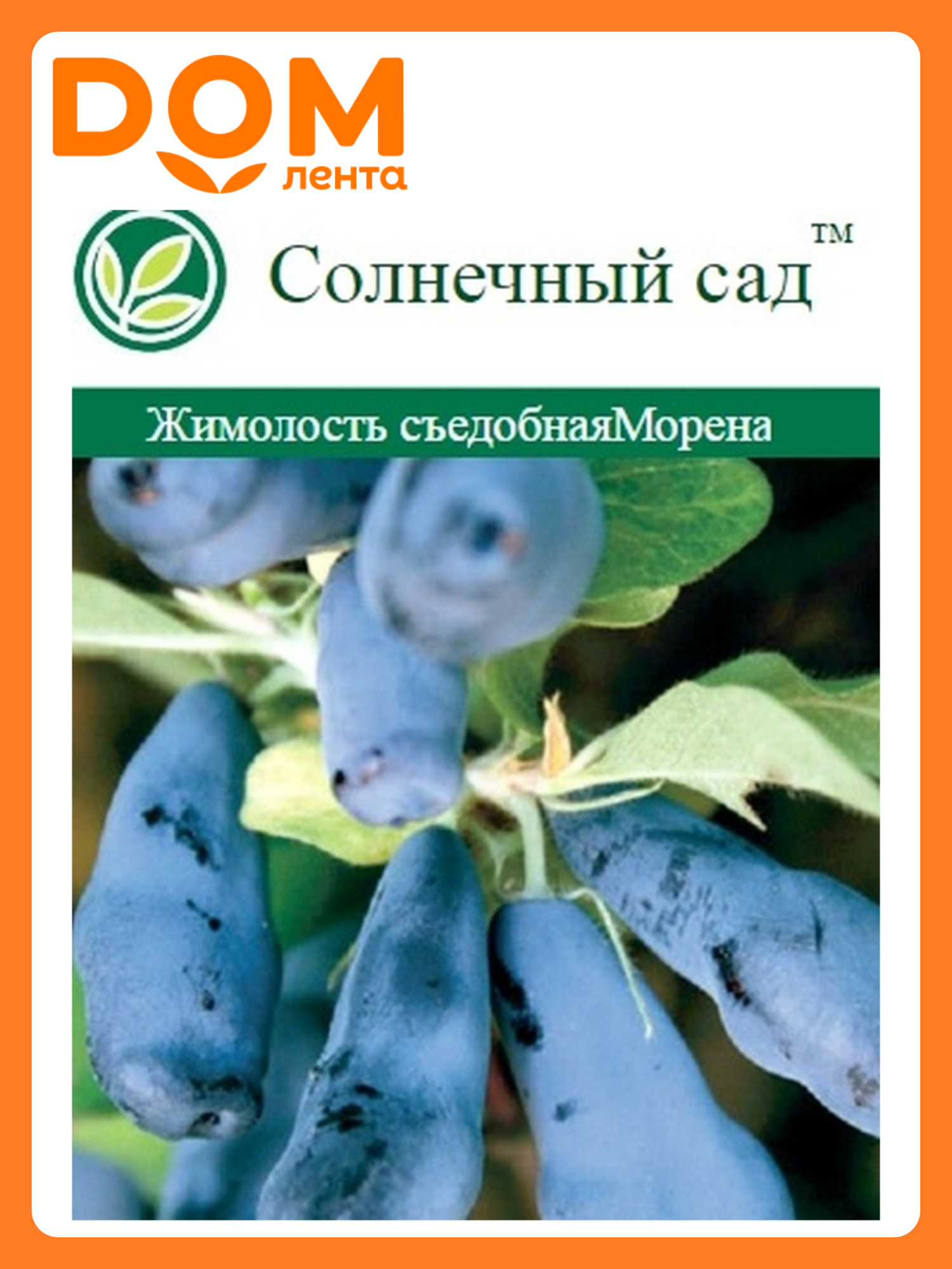 Жимолость С2 Н30, морозостойкая, устойчивая к болезням, ягоды кисло-сладкие