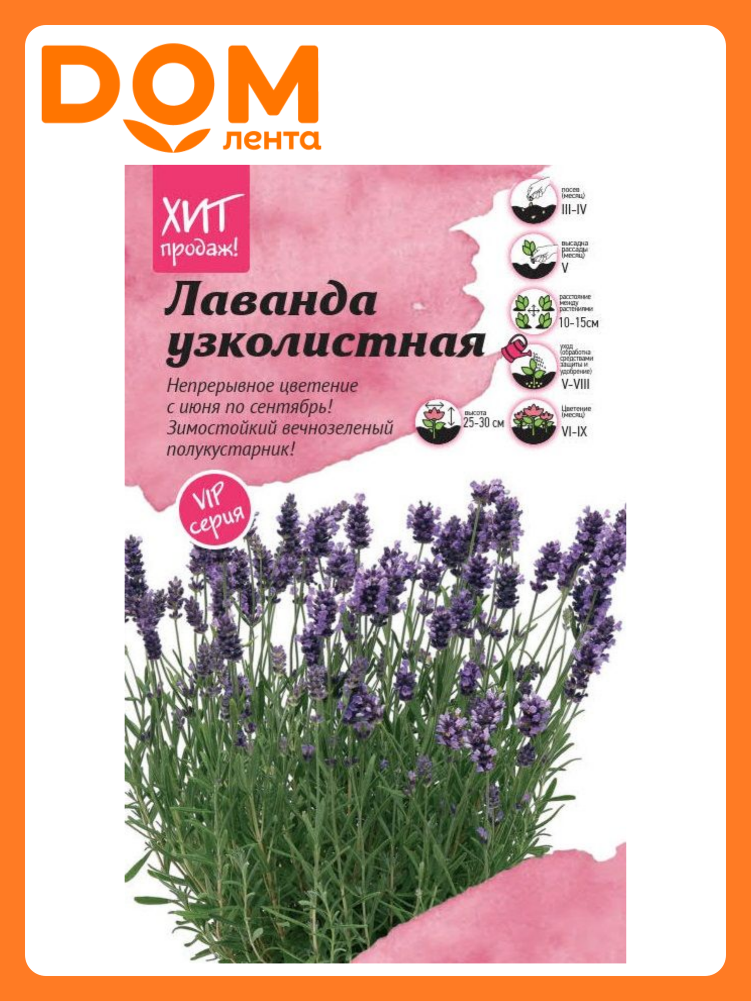 Лаванда Элеганс Пурпл 6 шт АСТ