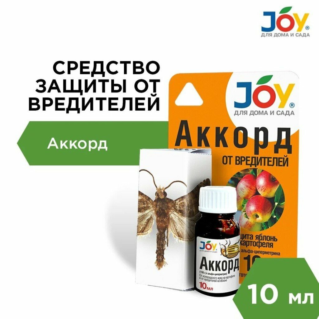 Инсектицид Аккорд Joy 10 мл — эффективное средство от насекомых-вредителей для защиты картофеля и яблонь в саду и огороде
