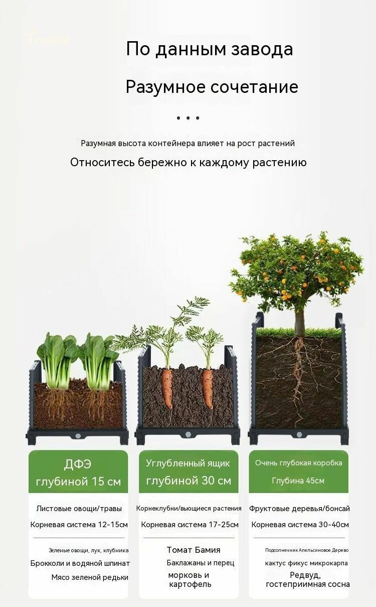 Грядка — фото 1