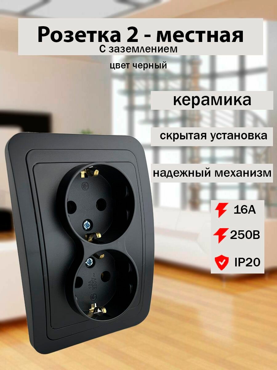 Розетка двойная с заземлением встраиваемая черная