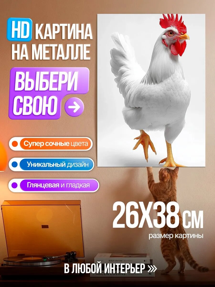 Картина на HD металле Белый петух
