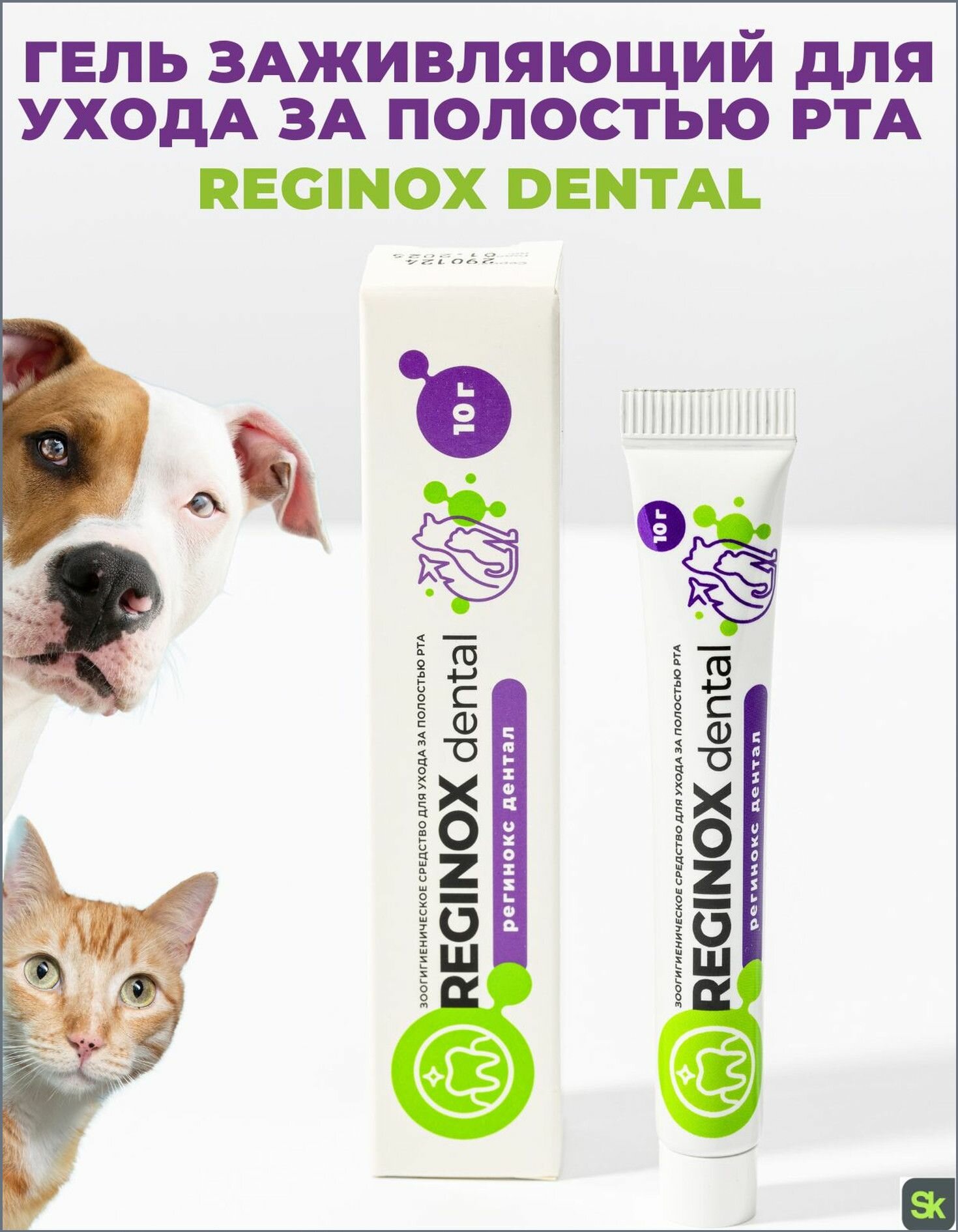 Заживляющий гель Reginox Dental для премиум ухода за полостью рта животных