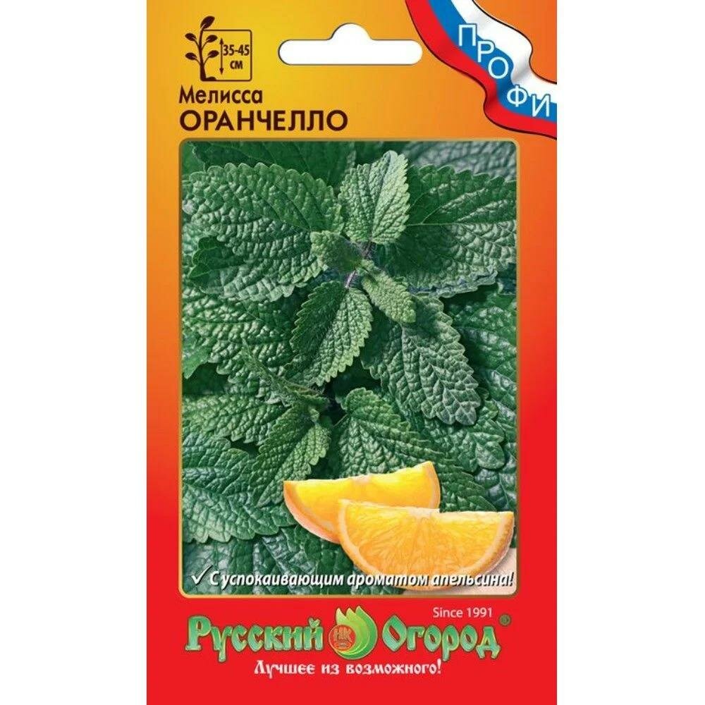 Семена мелиссы Русский огород многолетнее растение, Оранжчелло, аромат апельсина, 5 шт 798503