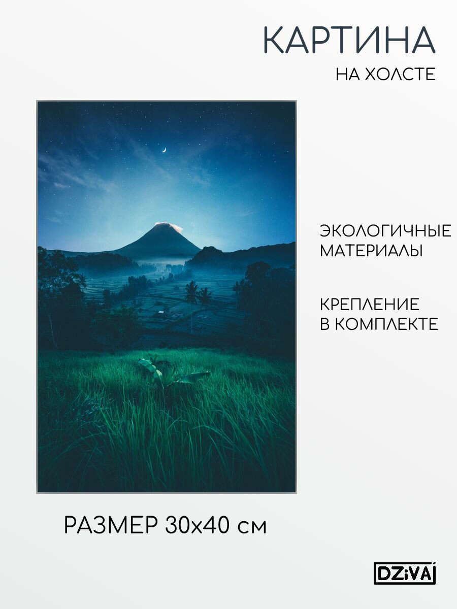 Картина на холсте Утро 30x40 см