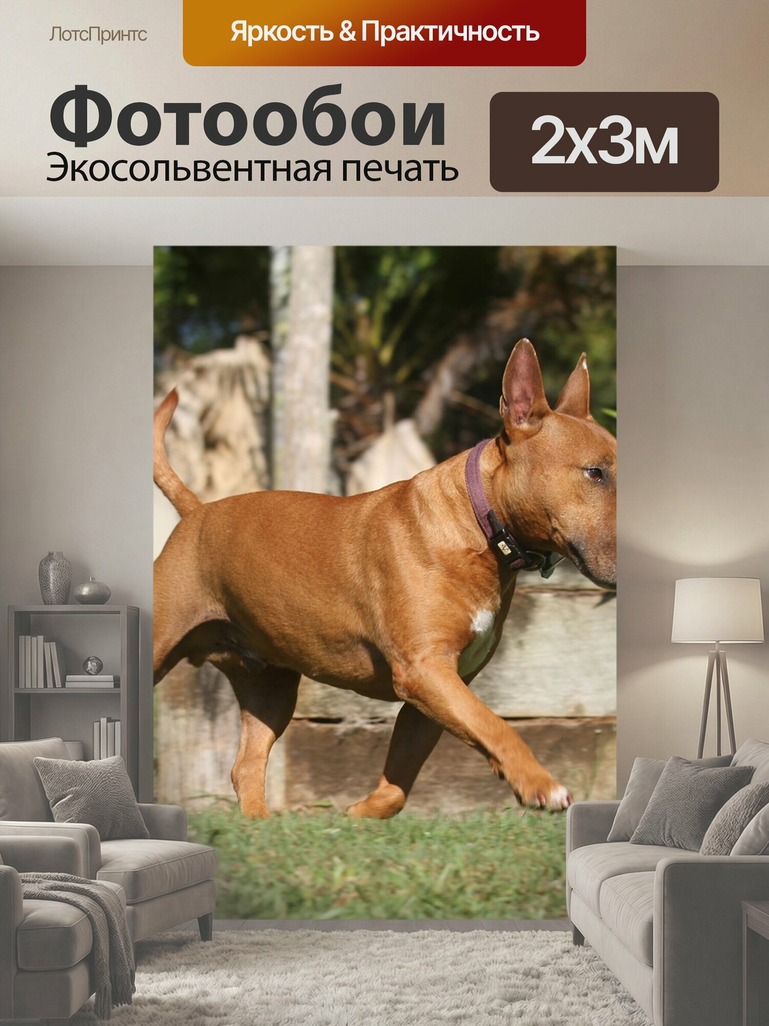 Фотообои "Собака, миниатюра, бультерьер" 200x300 см. экосольвентная печать