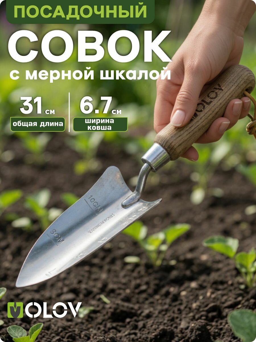 Совок садовый металлический узкий с деревянной ручкой, с мерной шкалой "OLOV Эколайн"