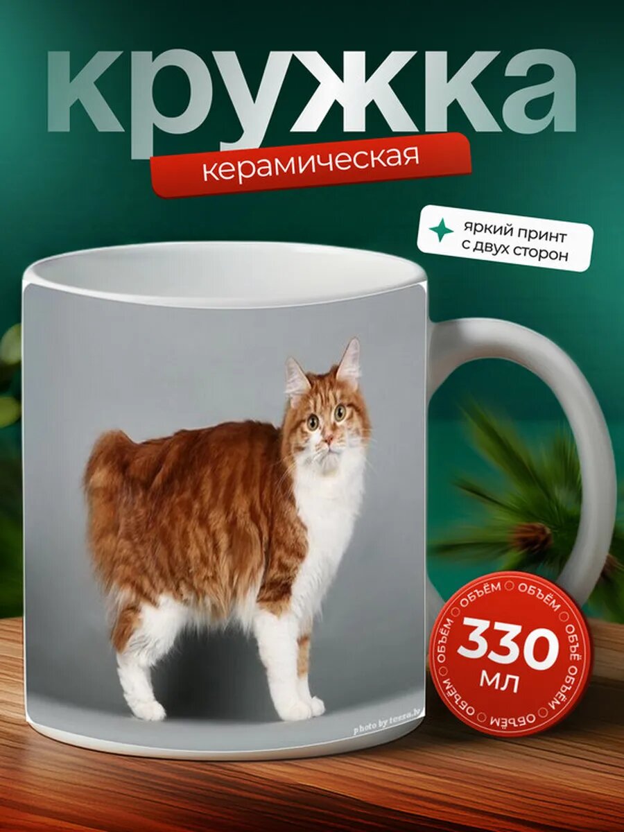 Кружка Американский бобтейл кот 41,