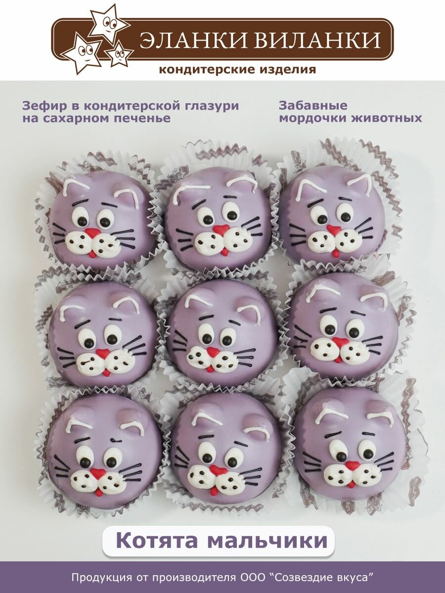 Шоколадные Виланки (Котята мальчики)