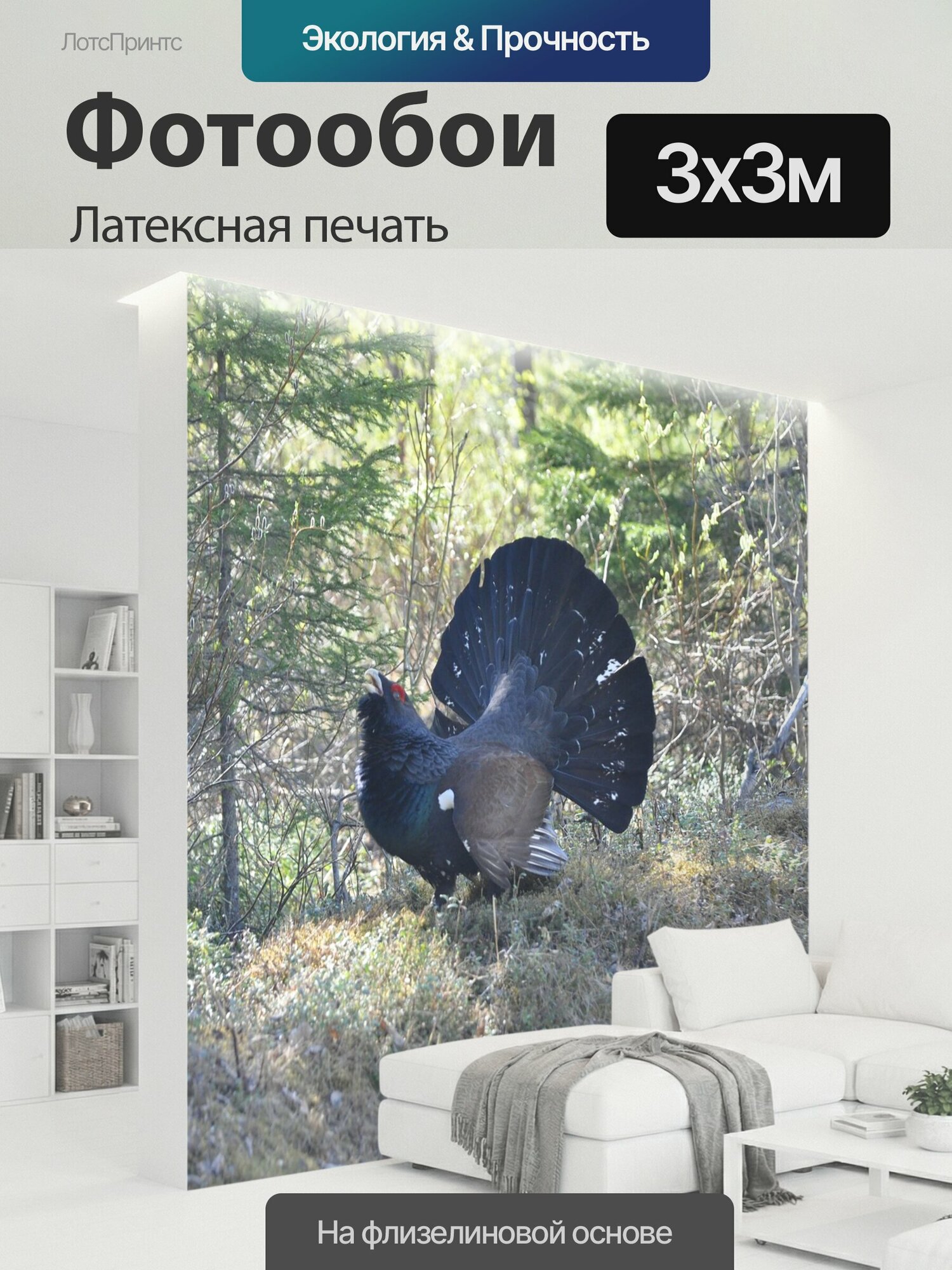 Фотообои моющиеся ударопрочные "Финляндия, глухарь, тетерев" 300x300 см. латексная печать