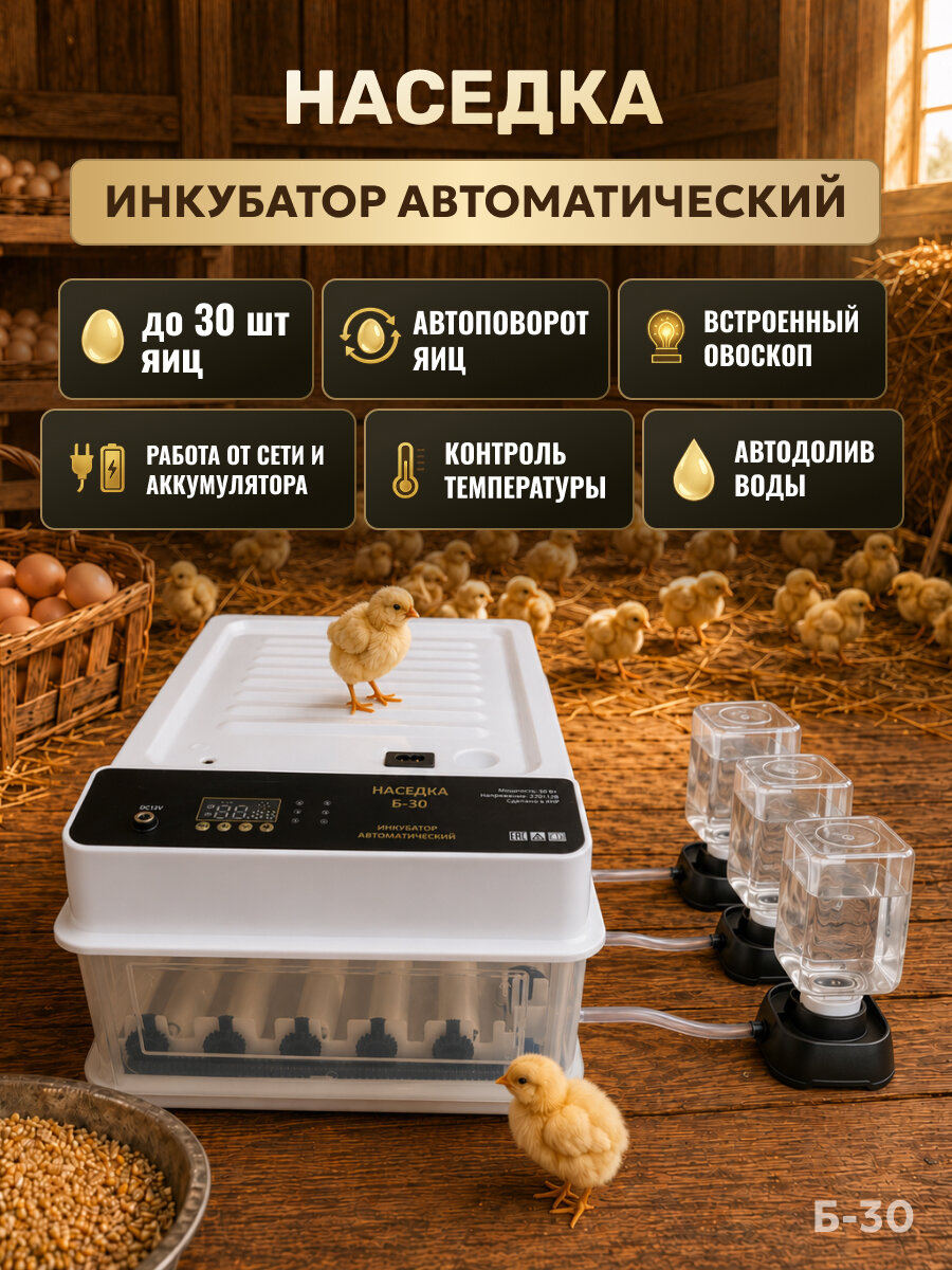 Инкубатор для яиц автоматический Наседка Б-30 с терморегулятором, овоскопом, автоповоротом, 220В/12В