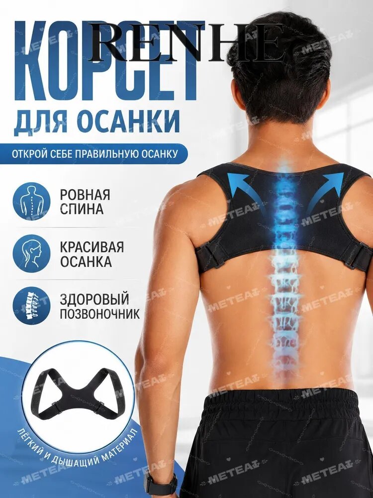 Тренажер для спины mzm-20260629103835616