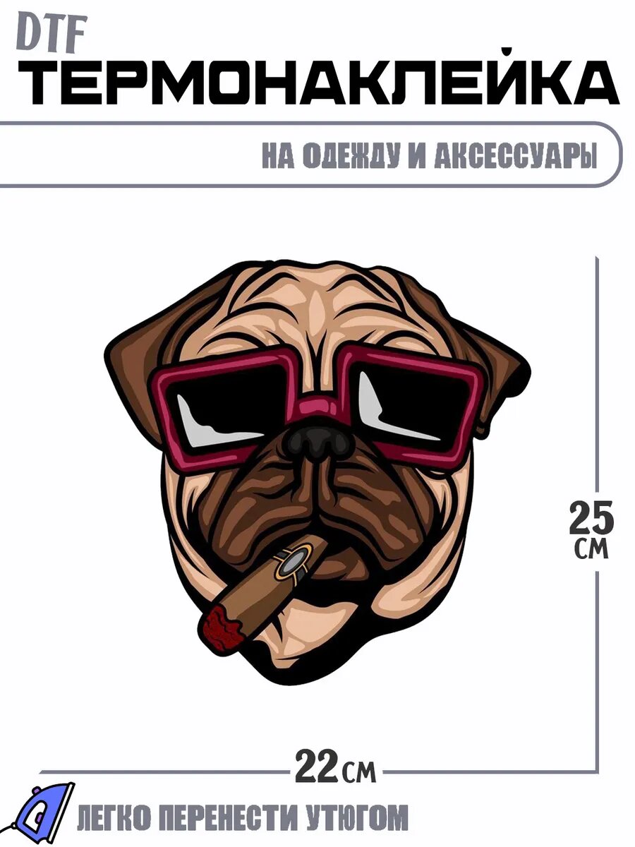 Термонаклейка Мопс в очках