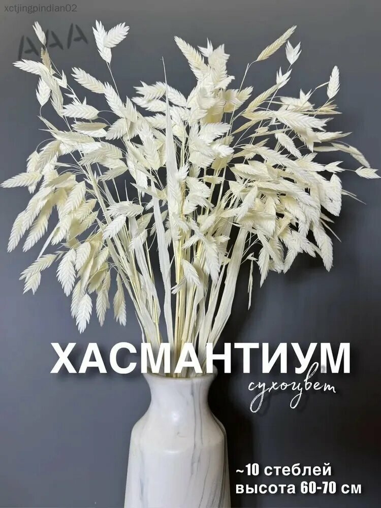 Сухоцветы Овёс, Мискантус, 58 см, 50 гр, 10 шт