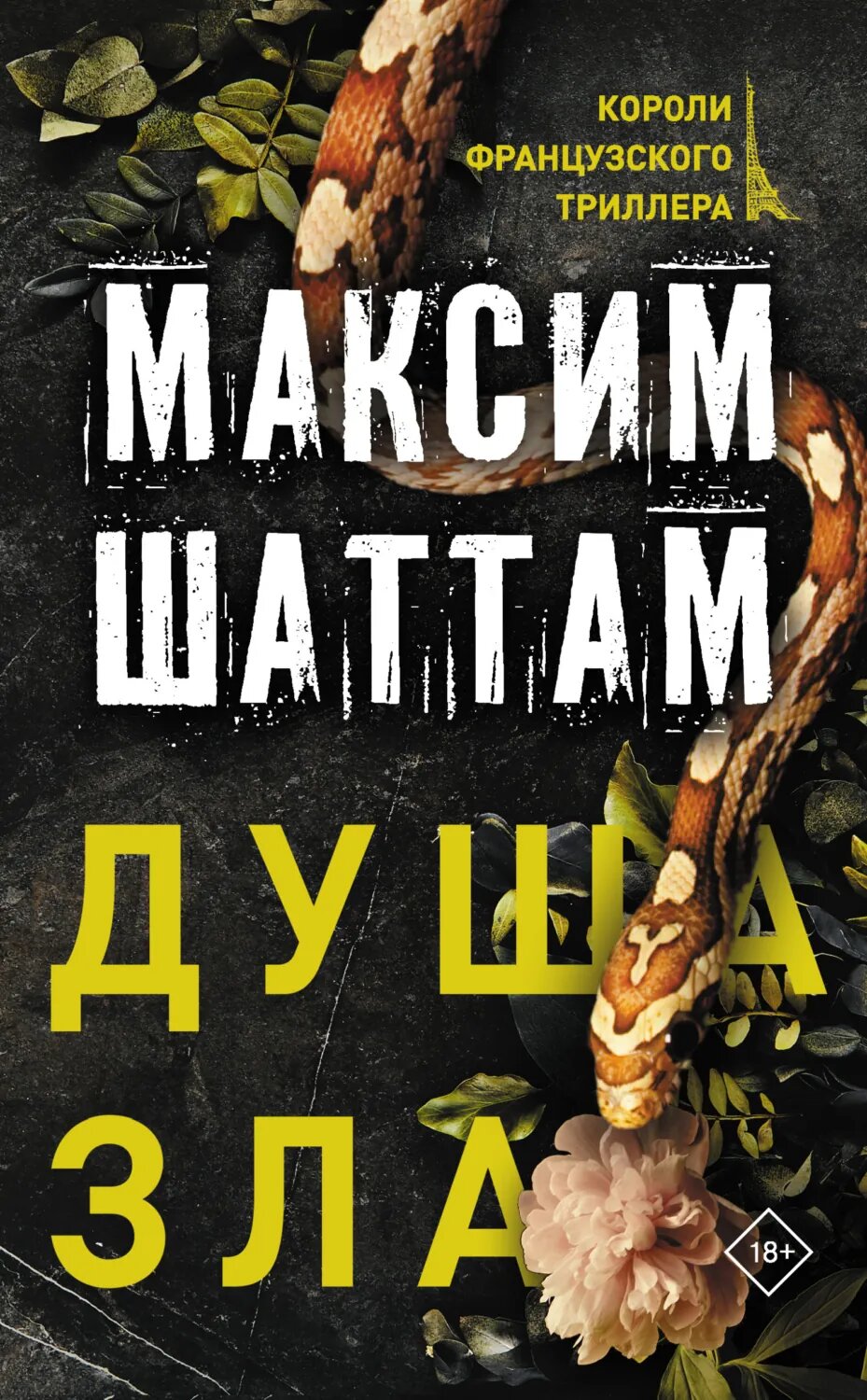 Душа зла [Цифровая книга]
