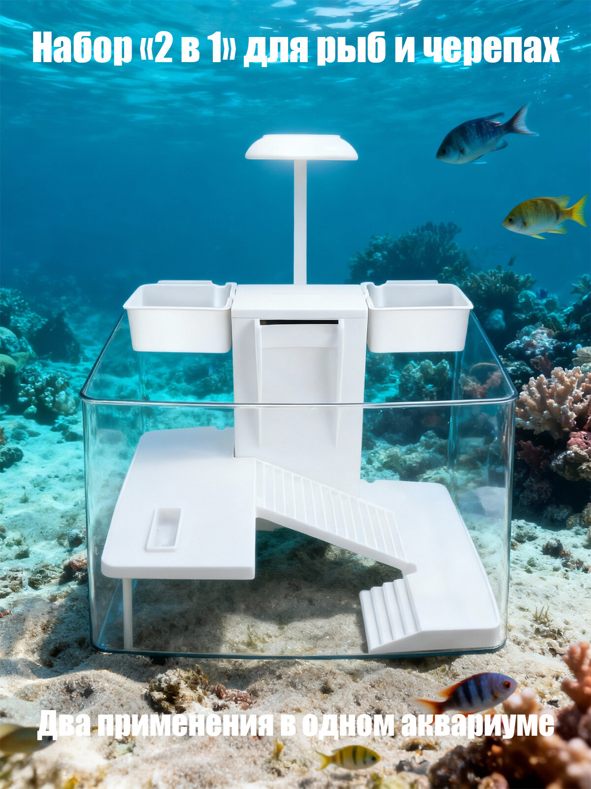DRAYMAT Акватеррариум 2-в-1: акрил, гидропоника, фильтр без подмен, USB, для рыб/черепах, для новичков.