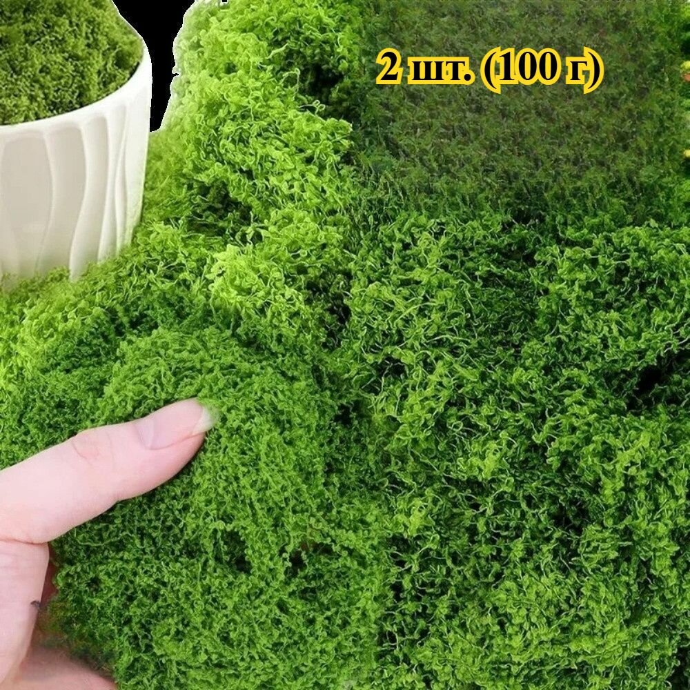 Стабилизированный мох, 2 шт. (100 г)