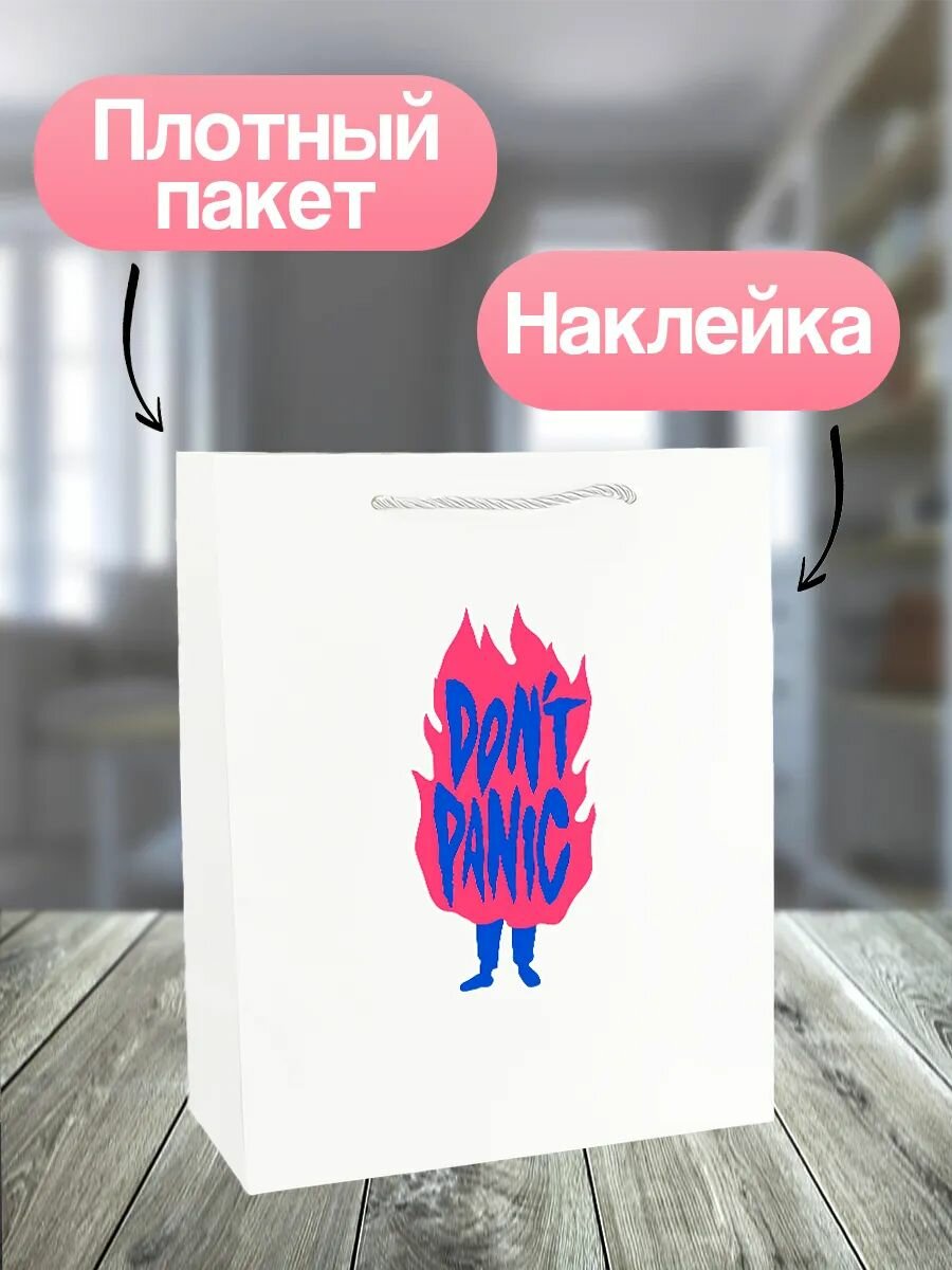 Пакет подарочный 2016 вайб, упаковка для подарка, 26х31 см — фото 1