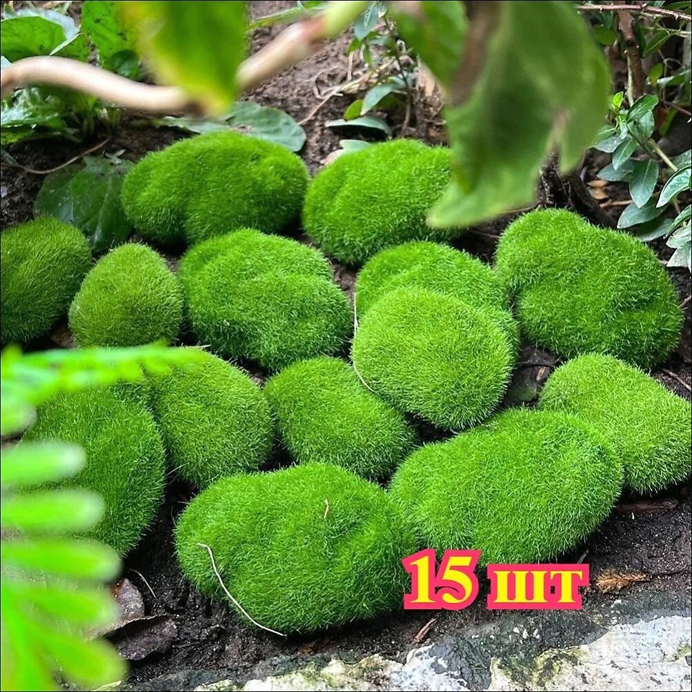 Искусственные камни и цветы, имитация мха и суккулента, 15 шт