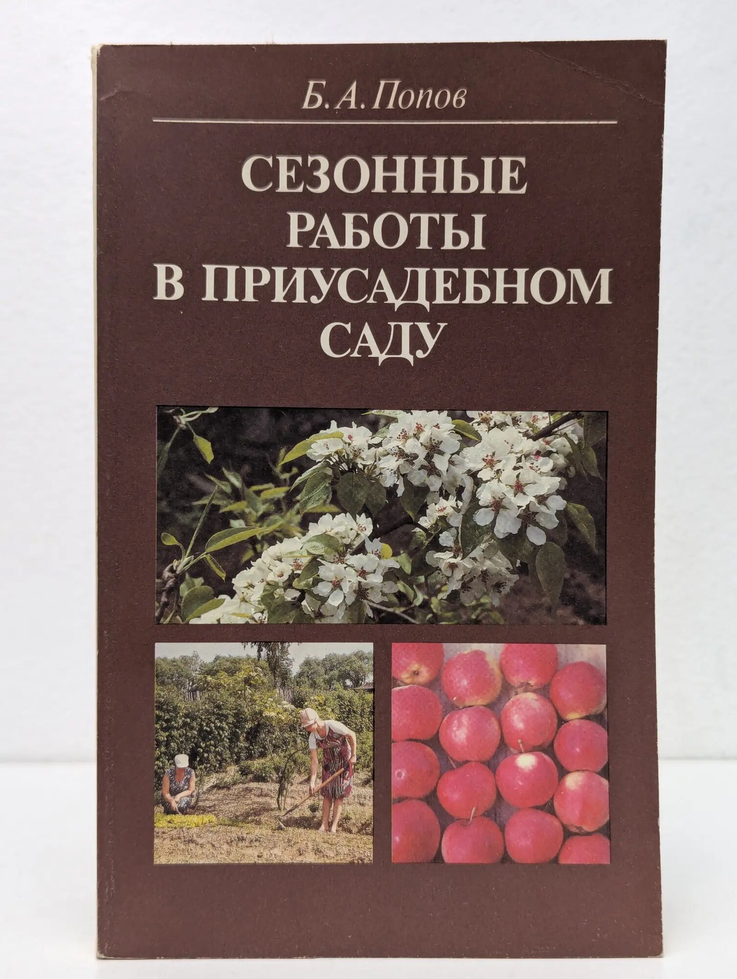 Сезонные работы в приусадебном саду Попов Борис Александр 1990