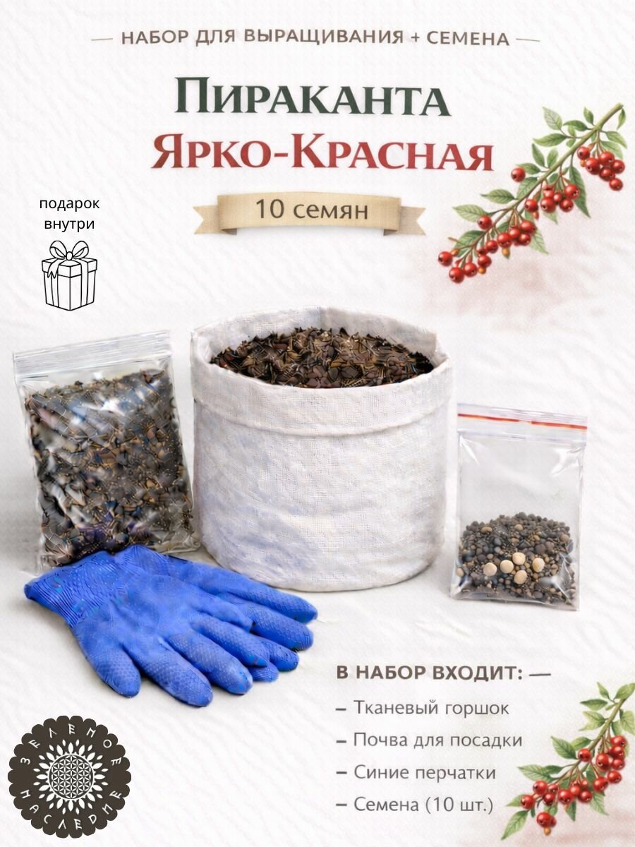 Домашний набор для выращивания Пираканты Ярко-Красной / Подарок для юного садовода