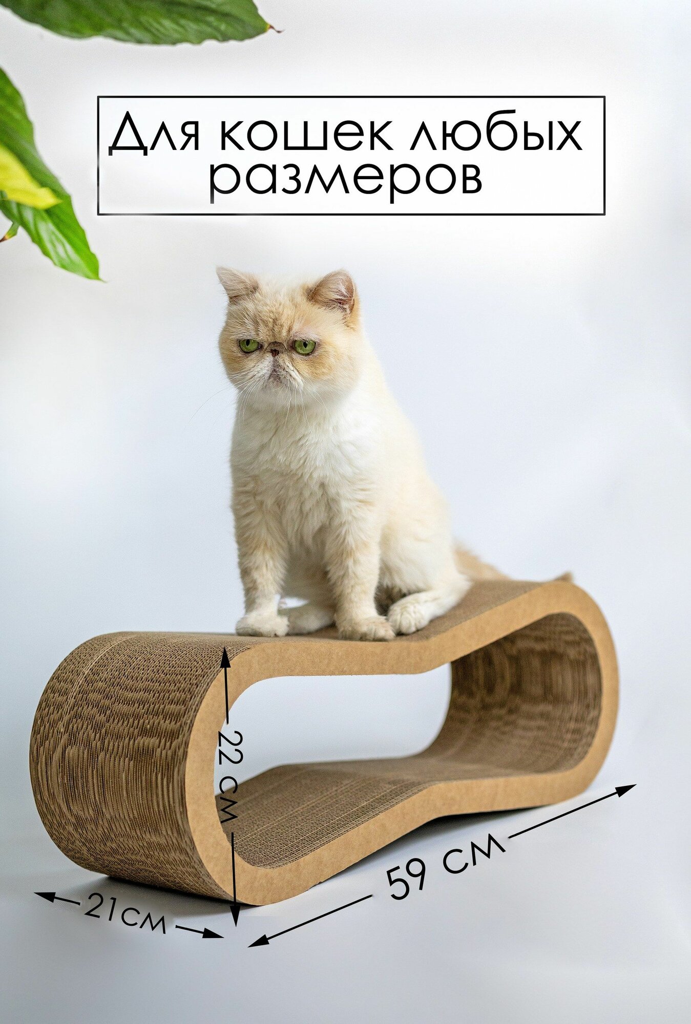 Когтеточка лежанка для кошек Большая 59х21х22см Зверье Мое