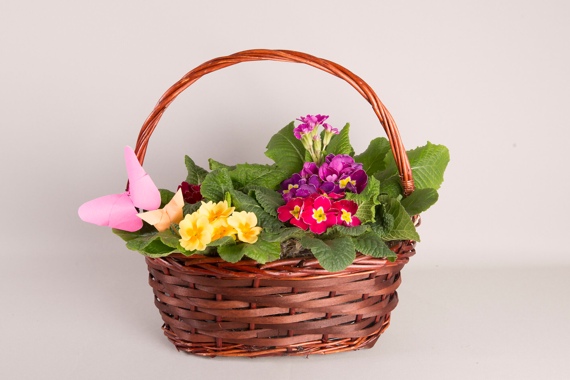 Корзинка с весенними первоцветами примулами с бабочками оригами в подарок