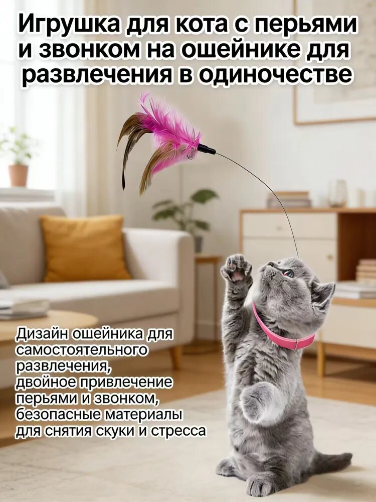 Игрушки для кошек, ошейники с перьями и колокольчиками помогают снять скуку и стресс
