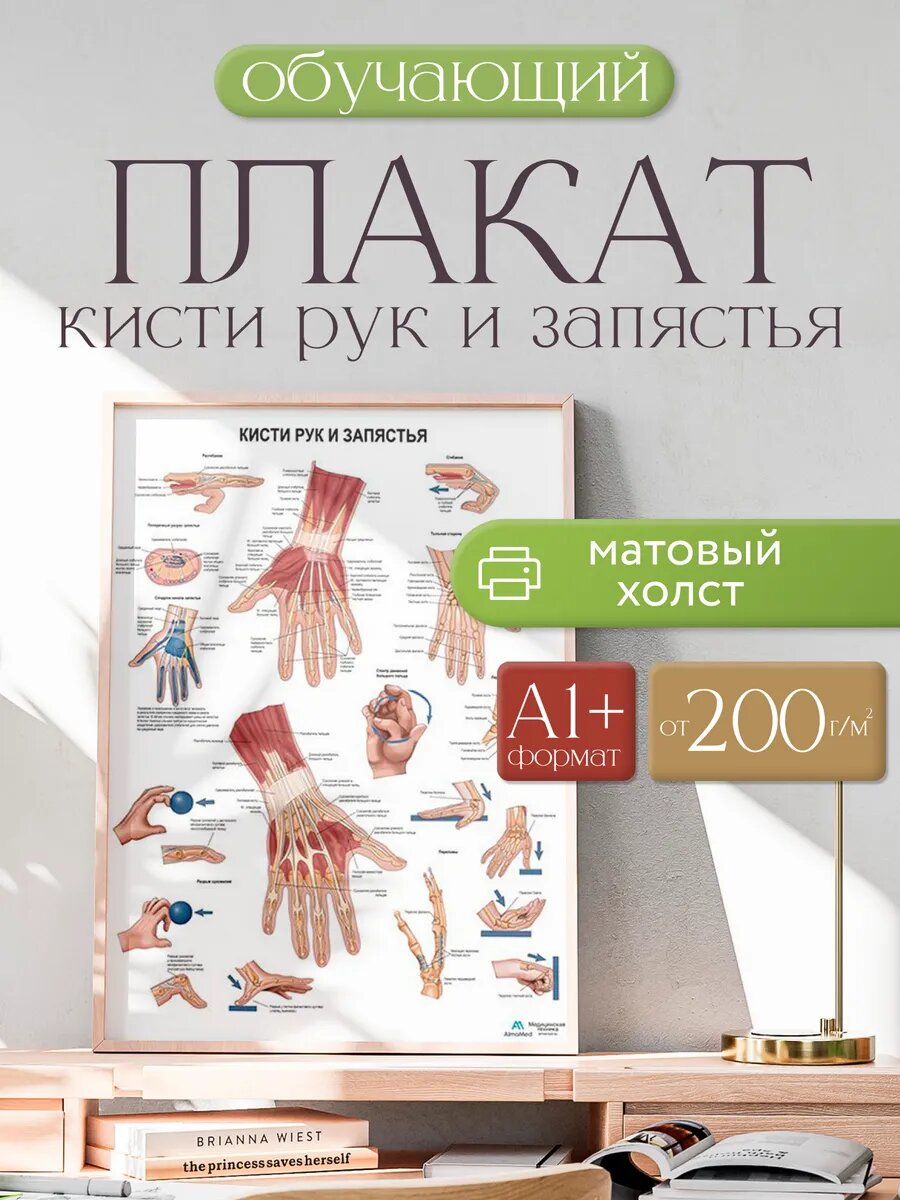 Кисти рук и запястья, плакат, матовый холст от 200 г/кв. м, размер A1+