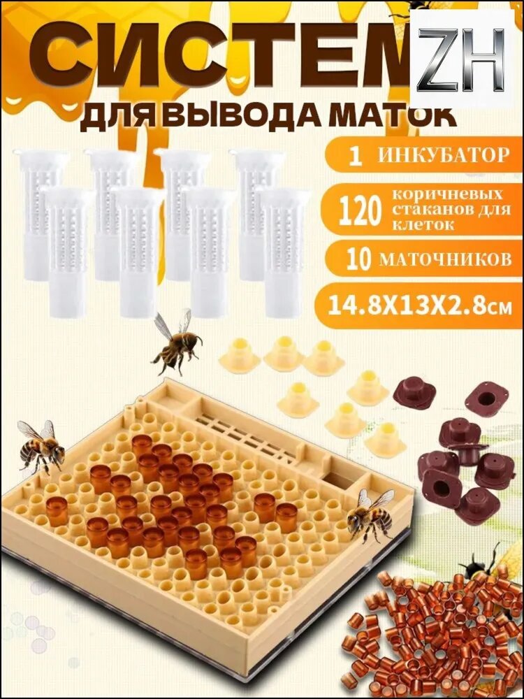 Оборудование для вывода пчелиных маток