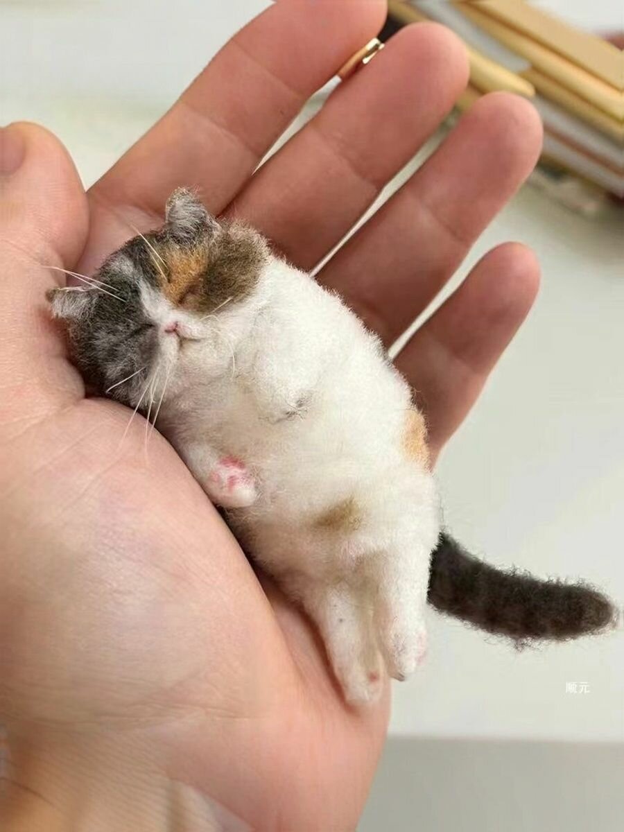 Набор для валяния из шерсти "Котик", для начинающих, творческий набор для создания мягкой игрушки