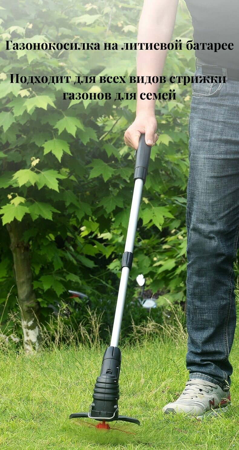 Пропольник